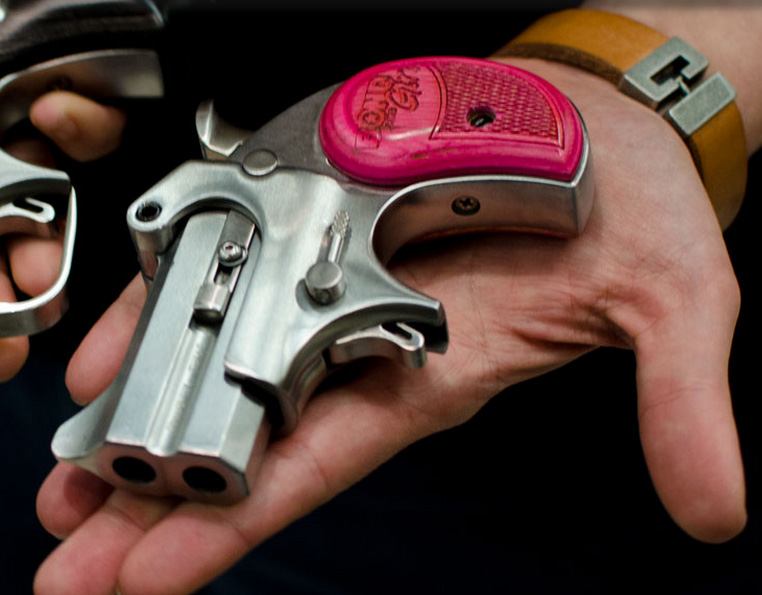 Women emerge as forceful voice in defending firearm ownership