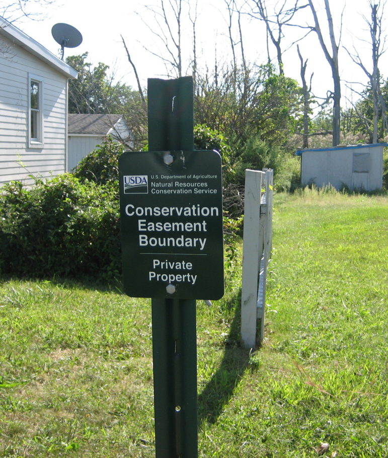 CT's repeat flood damage dilemma: move out or rebuild?