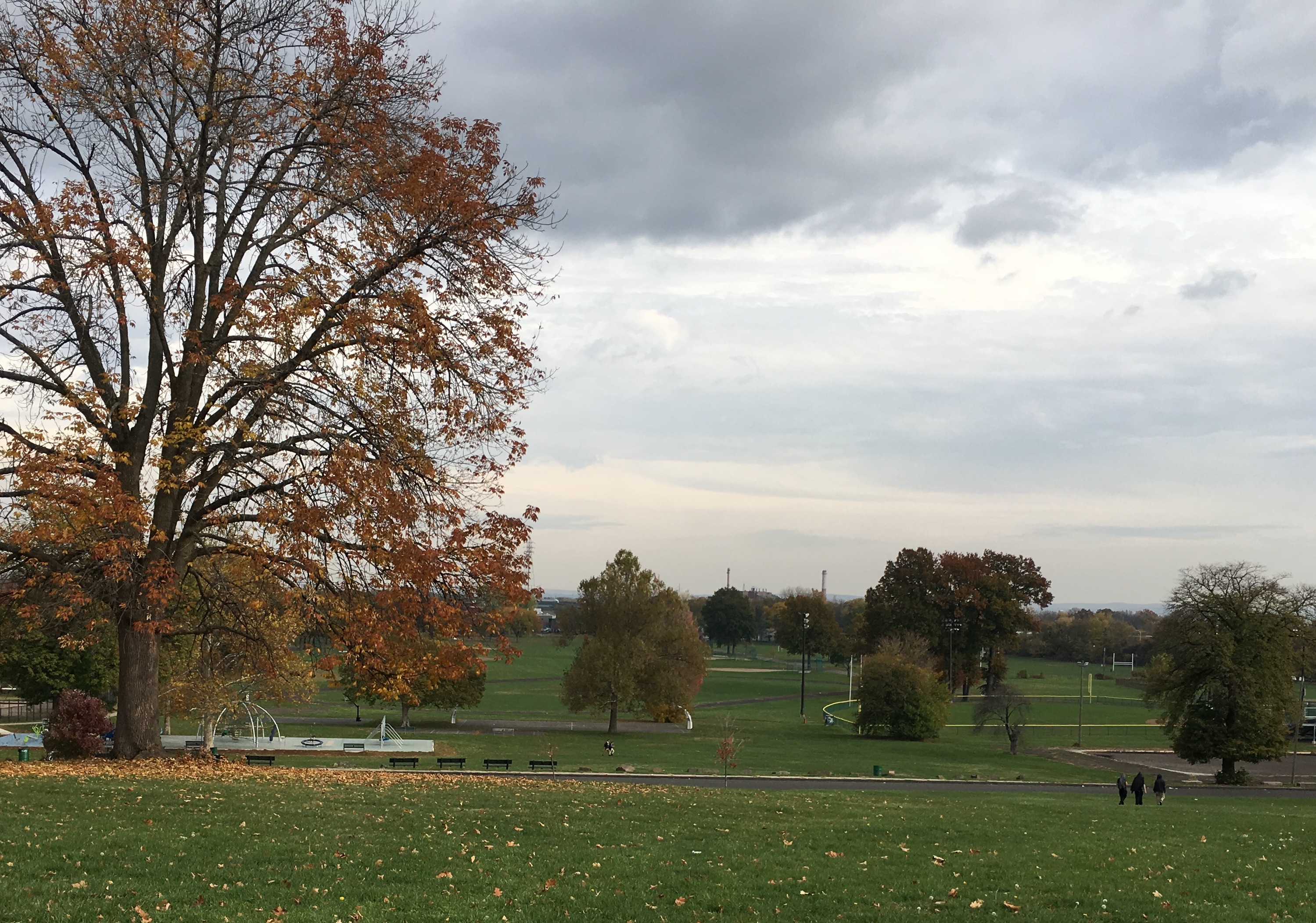 colt-park | CT Mirror