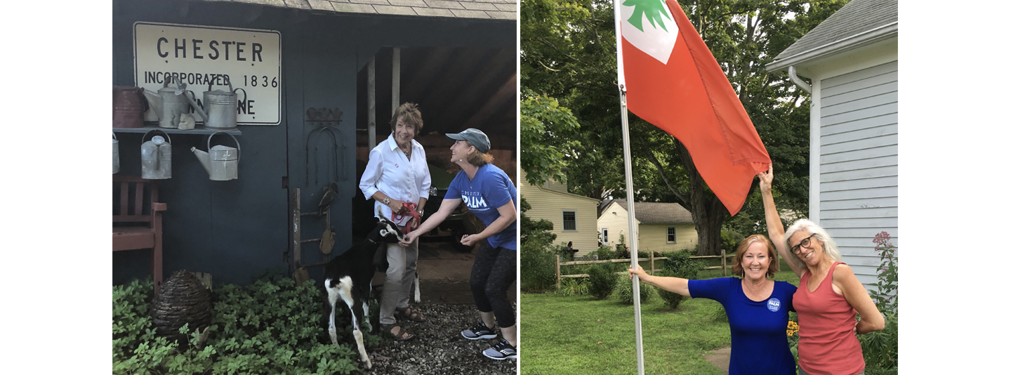 Walking politics -- a candidate is educated one front door at a time