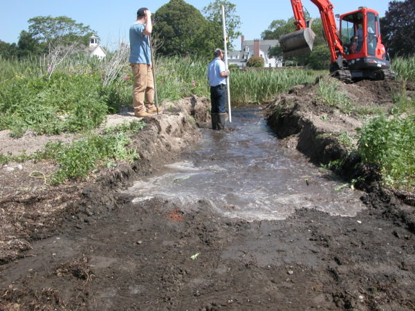 CT's small solutions to climate change: creating salt marsh in Stonington