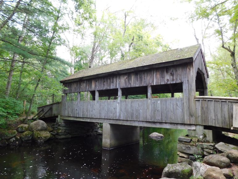 Opinion: Wild things down by the Eightmile River