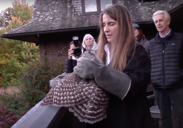 Opinion: It's time for Connecticut to ban rodenticides