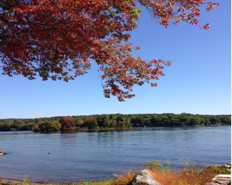 Opinion: Connecticut's lakes lack funding: the threat of cyanobacteria ...