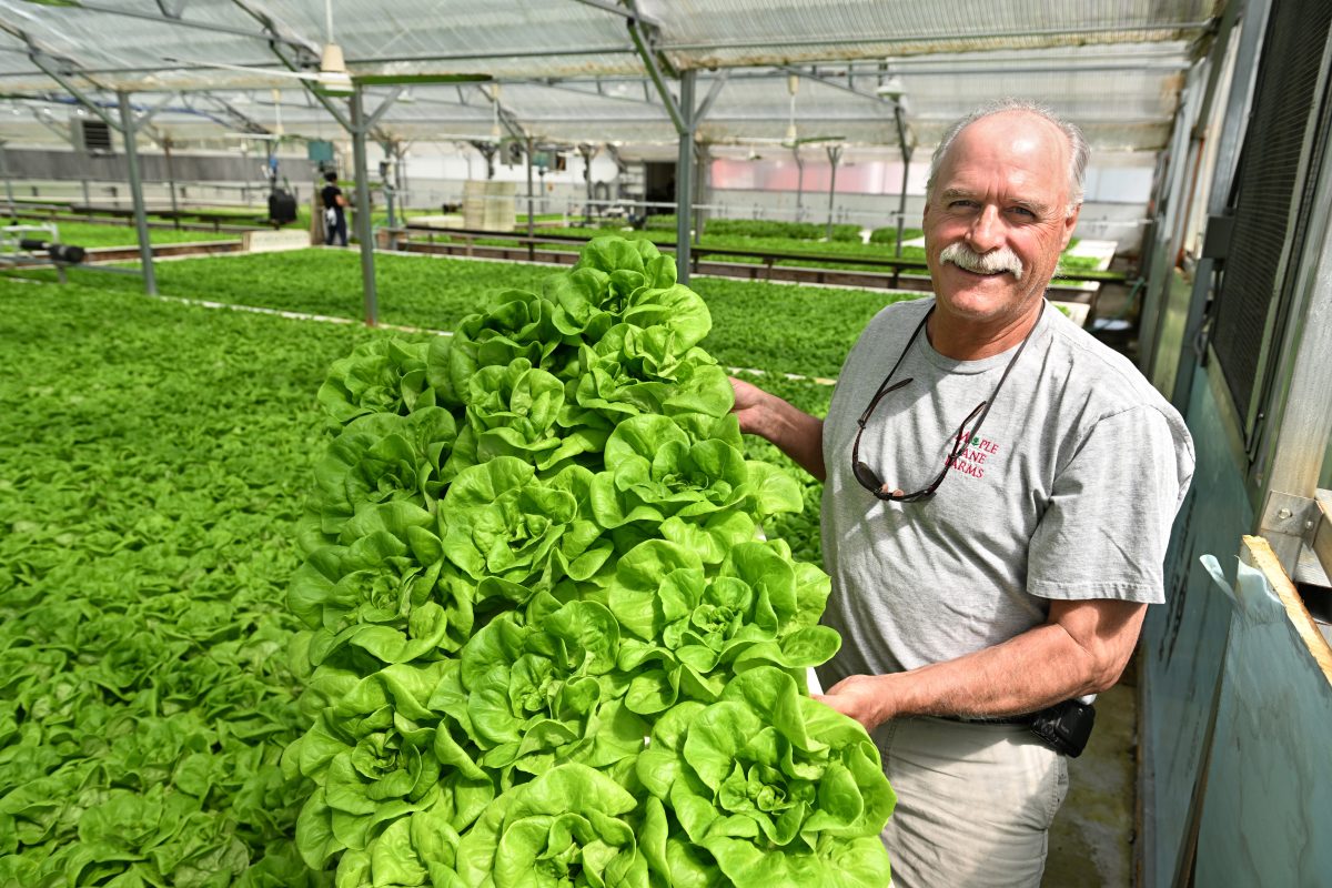 The CT farming industry is changing. Here's a look at how