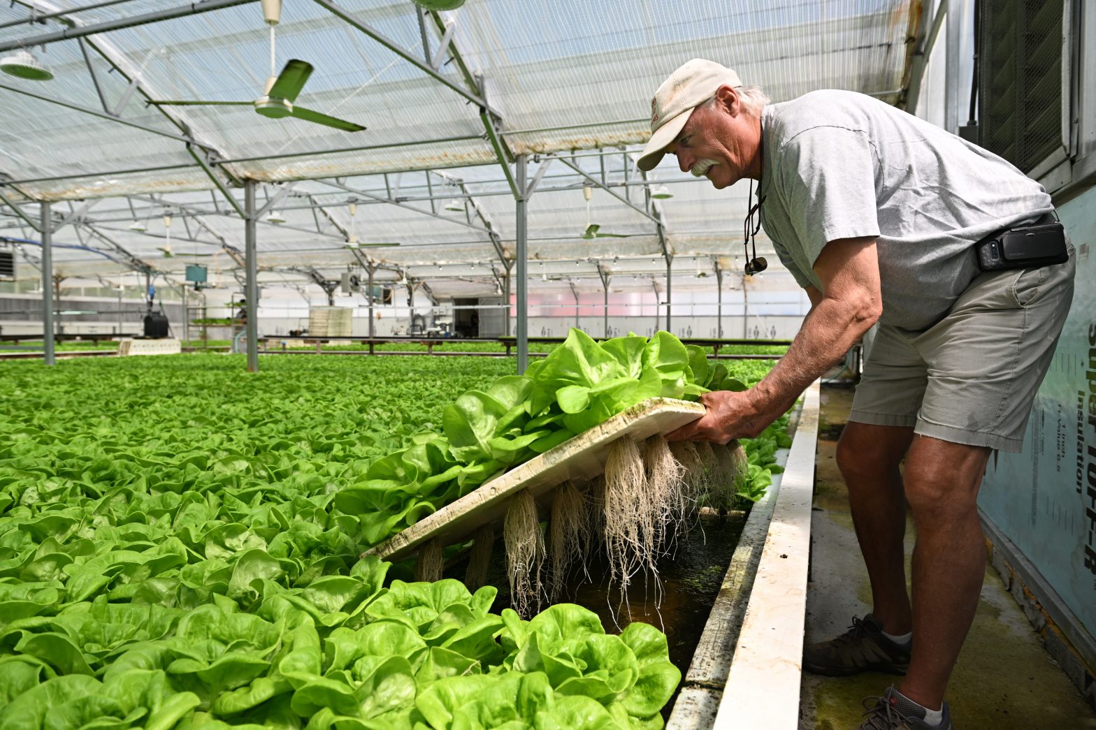 The CT farming industry is changing. Here's a look at how