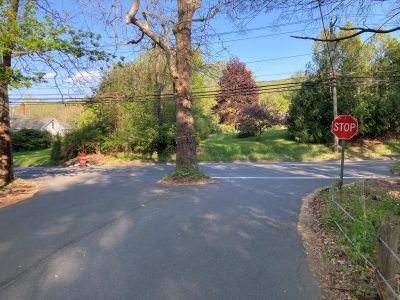 Should CT preserve its historic quirks? Canton tree sparks debate