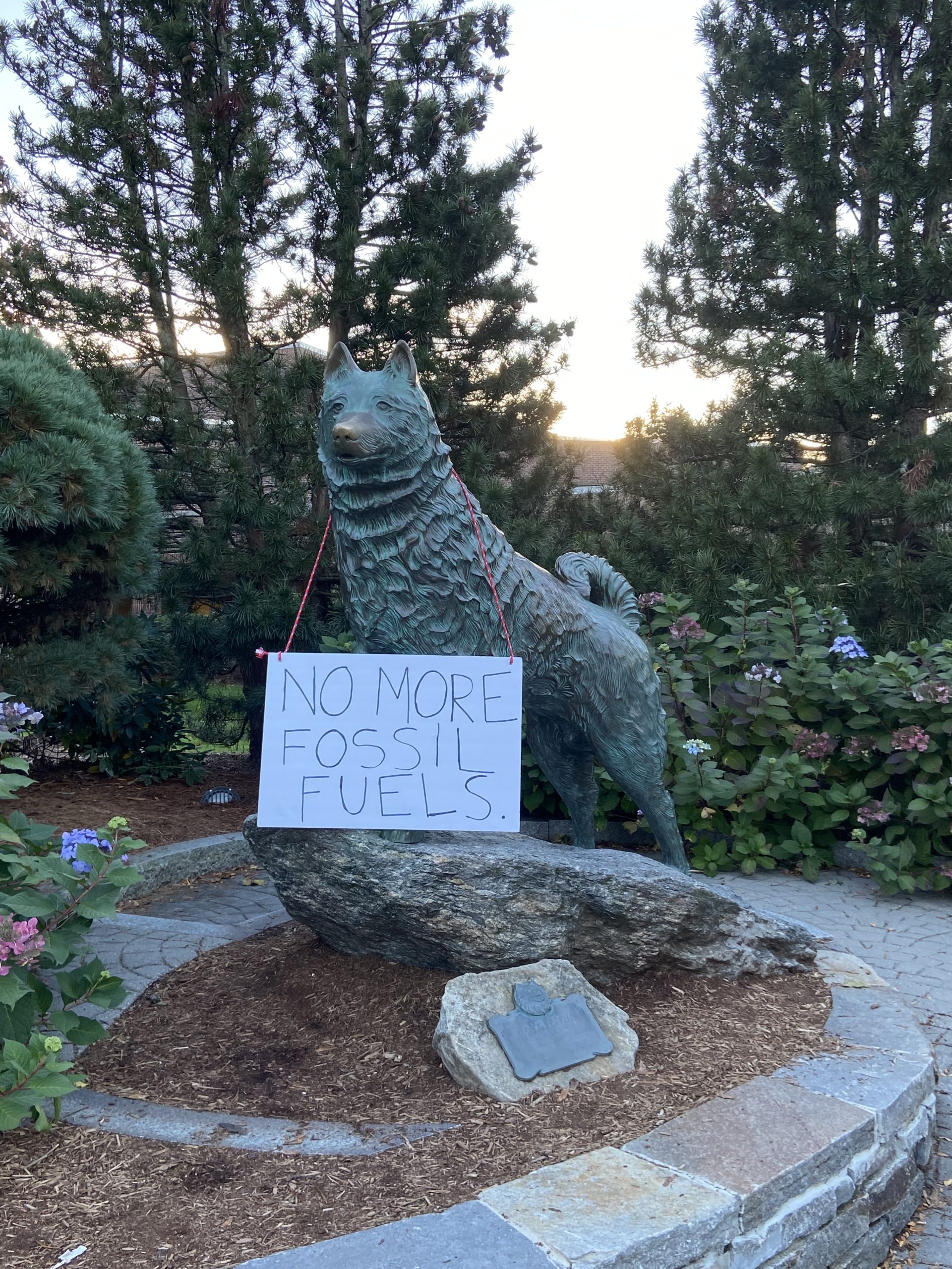 uconn-husky-w-sign | CT Mirror
