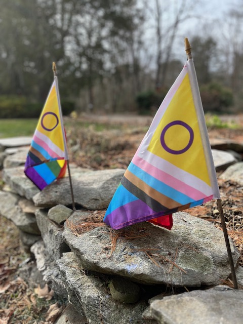 Opinion: CT schools are discriminating against some trans youth