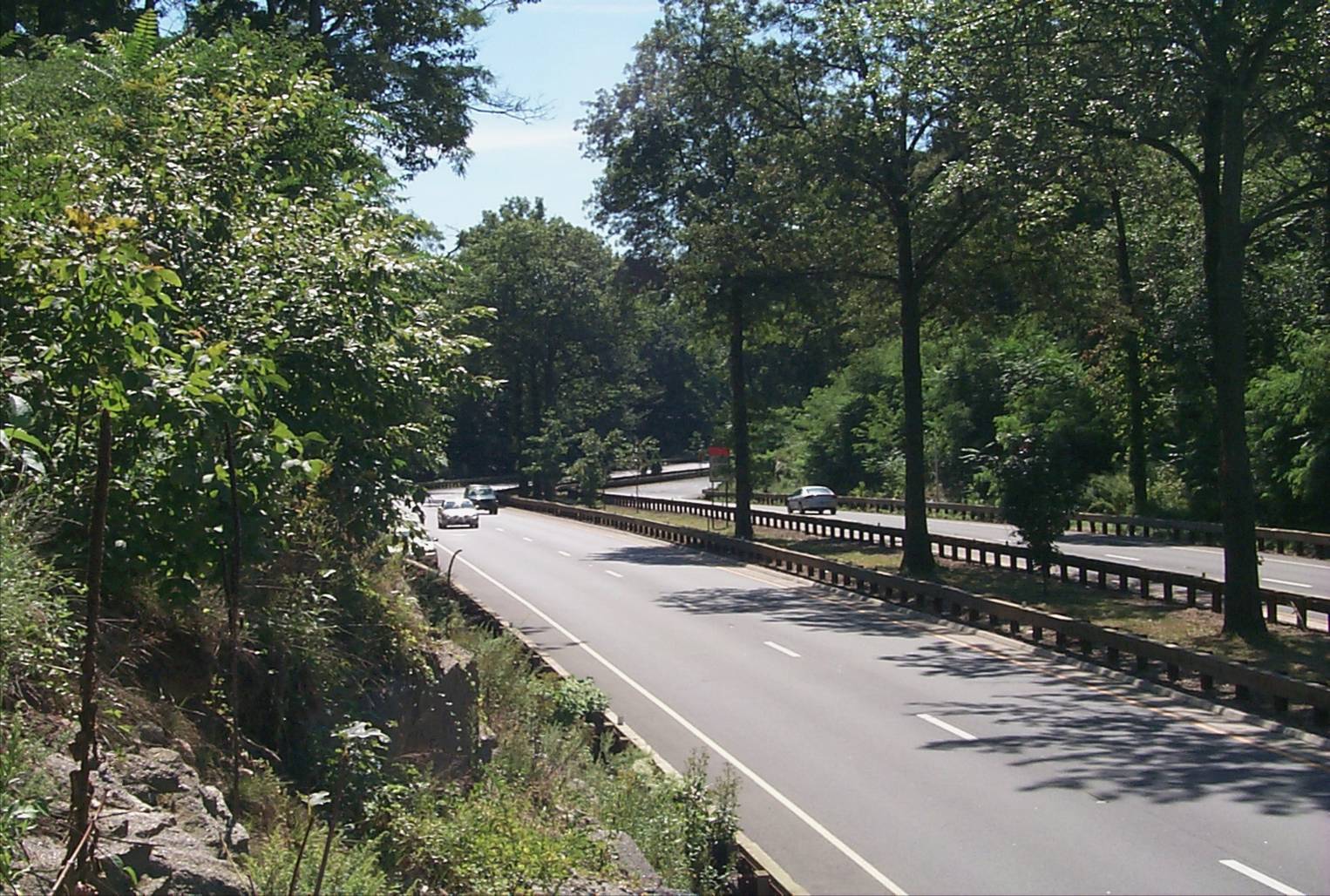 Opinion: DOT, don't remove CT's roadside trees!