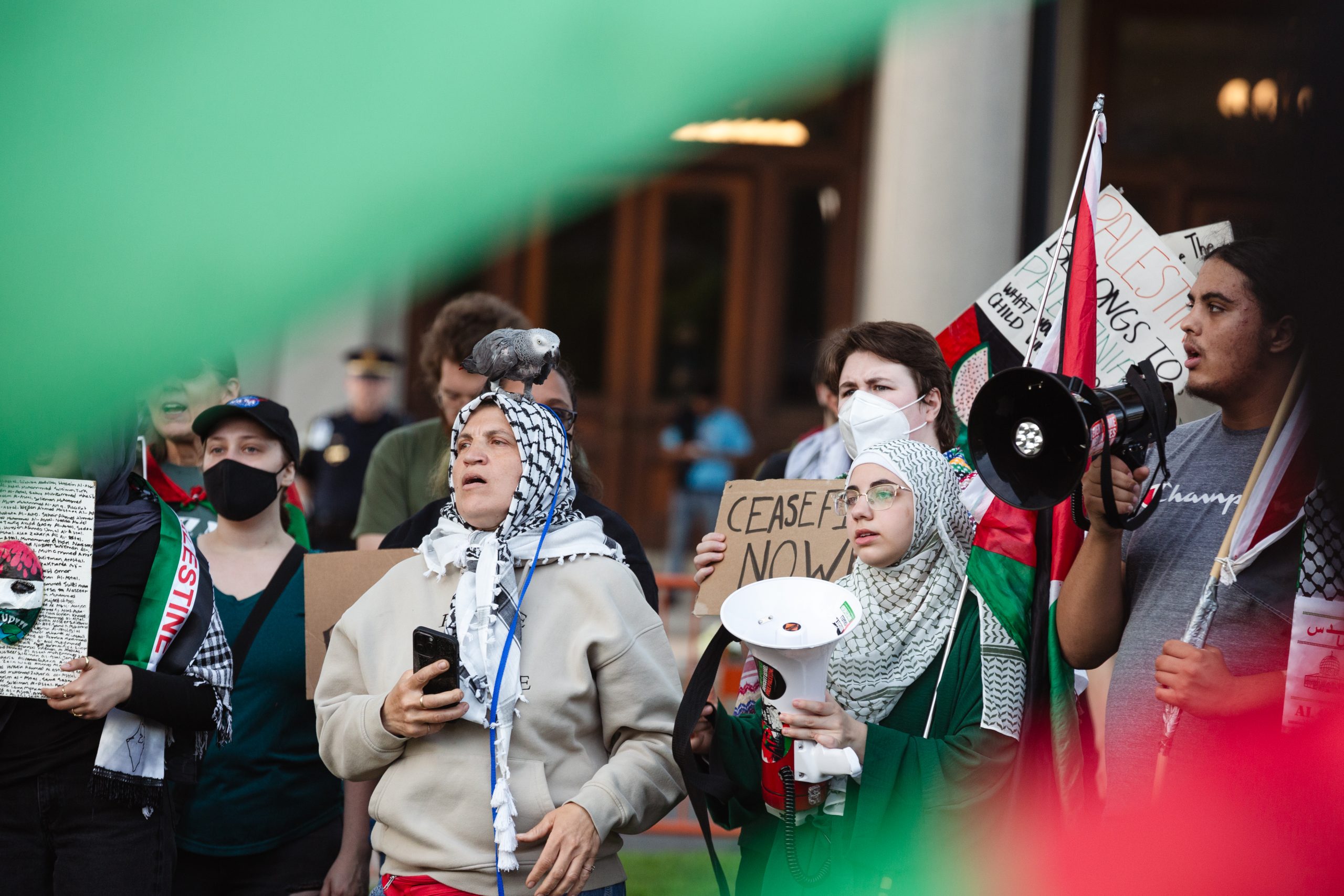 At Capitol, pro-Palestinian protestors demand CT divest from Israel