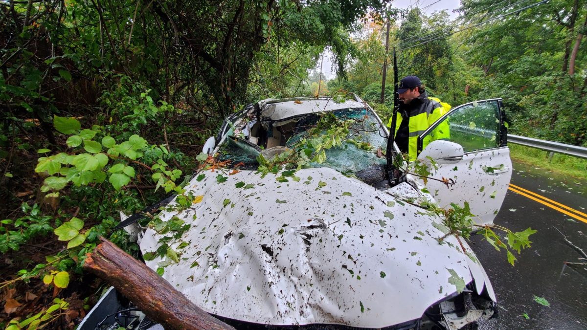 shaw tree accident | CT Mirror