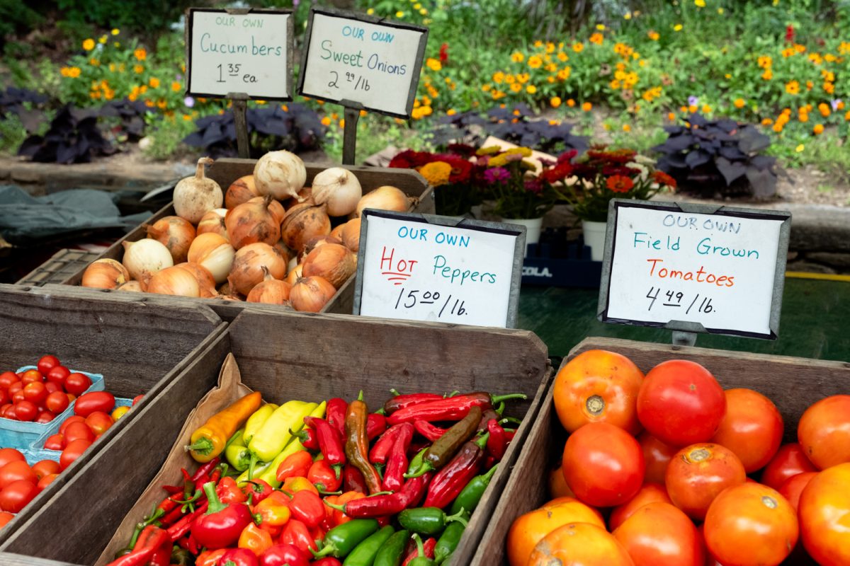 How chef Jacques Pepin found, and shaped, CT's food community