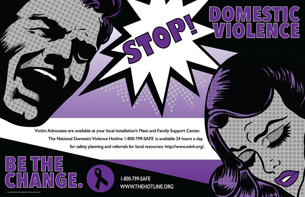 Domestic Violence Visual Aids DAVSS Creating A Comprehensive